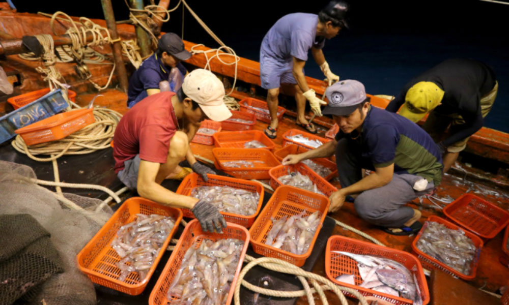 Agro-forestry-aquatic product exports up nearly 24% - HungHau Agricultural Agro-forestry-aquatic product exports up nearly 24% - HungHau Agricultural